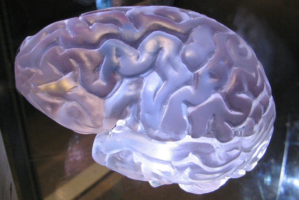 Cerveau et memoire : comprendre et optimiser ses capacites – Dose Mindcare